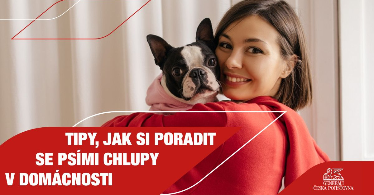 Jak si poradit s psími chlupy v domácnosti? Tipy, které fungují | STAČÍ ...